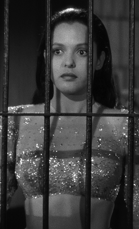 captive wild-3 - Trailers From Hell